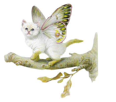 tube animaux - Page 5